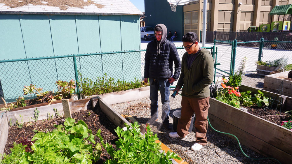 Homeless Garden Project Partnership - Santa Cruz County Office Of Education