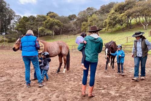 Healing Power of Horses - Santa Cruz County Office Of Education